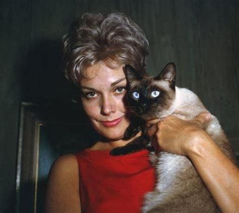 20 Lovely Photos Of Kim Novak With Her Cat Pyewacket In “bell Book And Candle” 1958