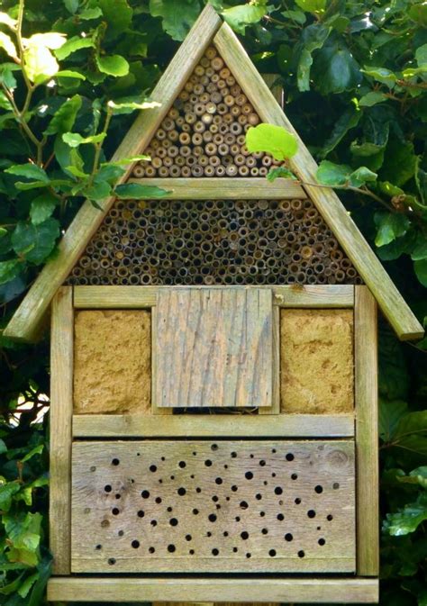 Insektenhotel Im Garten Wissen Bewohner Und Tipps