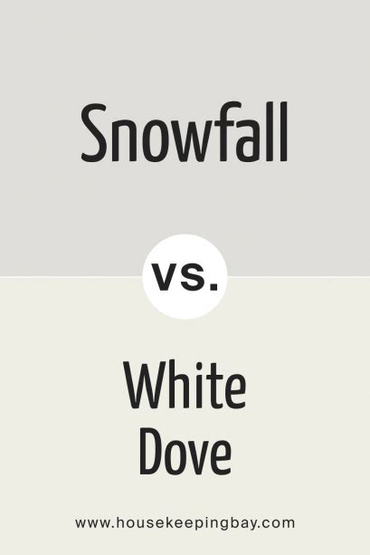 Snowfall Sw 6000 Paint Color By Sherwin Williams