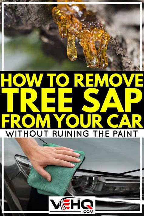 How To Remove Tree Sap From Your Car Without Ruining The Paint