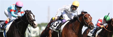東京優駿（日本ダービー）2022｜g1特集｜競馬情報ならjra Van