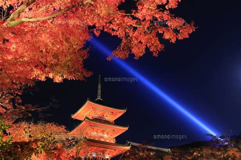 清水寺 紅葉のライトアップの写真素材 Fyi07907957 ストックフォトの Qlean Market（キュリンマーケット）