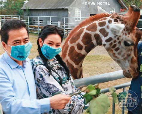 【全文】虛構野生動物訂單、索巨額運費 頑皮世界告李天怡設局詐騙 鏡週刊 Mirror Media