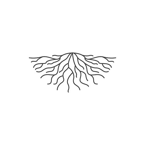 Premium Vector Root Graphic Design Vector