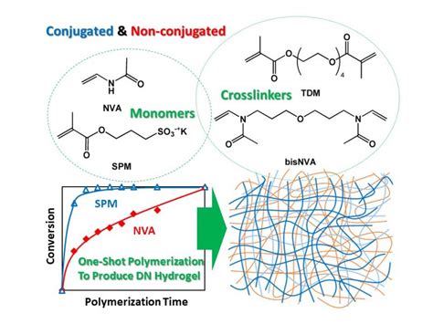 One Shot Radical Polymerization For Hydrogels Advanced Science News