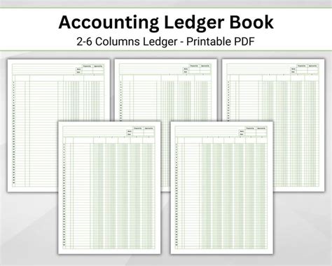 Accounting Ledger 2 6 Columns Ledger Columnar Paper Digital Ledger