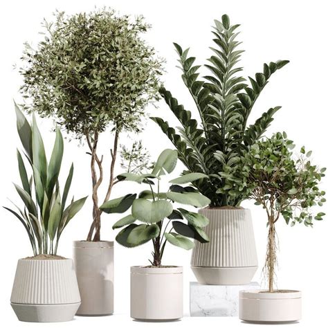 Av Indoor Plants Set 207 389441 3d Model Download 3d Model Av