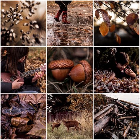 Chasing Colours Ashley McMath Photography