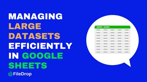 How to Manage Large Datasets Efficiently in Google Sheets - FileDrop