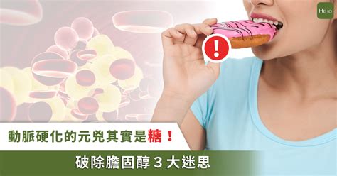 體內的高膽固醇其實是「高糖」飲食惹禍！破除膽固醇的 3 大迷思 Heho健康
