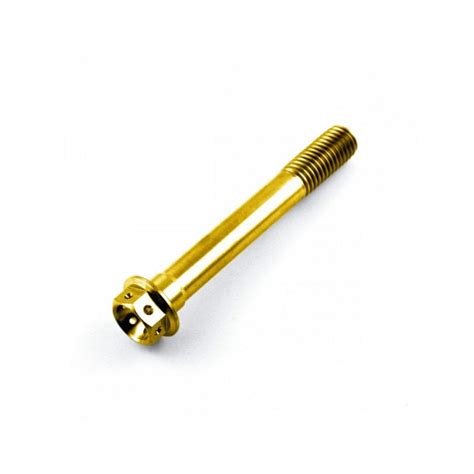 Titanium Race Drilled Hex Head Bolt M X Mm X Mm Gold