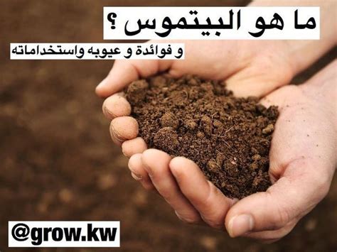ما هو البيتموس وما هي فوائده وعيوبه؟