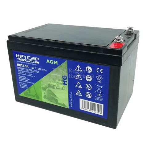 2 baterías Gel para Patín 12 Voltios 14 Amperios con Cables Baterias