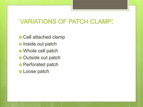 Patch Clamp Techniques PPTX Biological Sciences Science