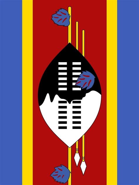 Swaziland Flag 2 Graphic T Shirt Dress For Sale By Planetterra