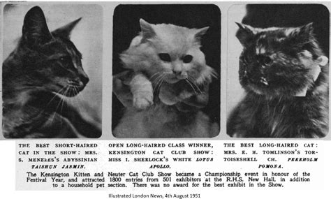 Reports From The Early British Cat Shows 1951