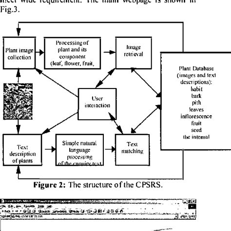Figure 1 From A Computerized Plant Species Recognition System Semantic Scholar