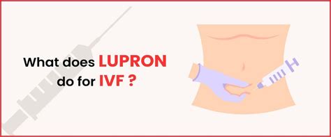 Infertility Tests In Srinagar Kashmir At Affordable Price In 2024