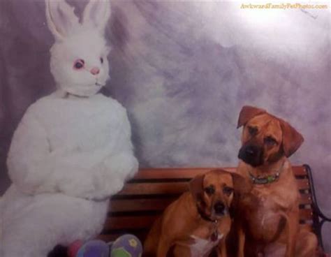 When Easter Turns Out To Be A Complete Disaster Fun