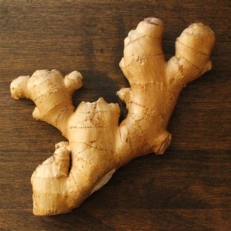 Perfume Note Ginger Scent Appreciation