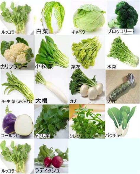 スベリヒユの効能や食べ方をご紹介！｜育て方labo育て方ラボ