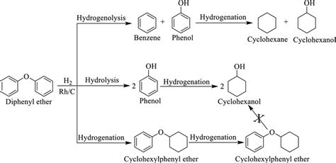 Reported Possible Reaction Pathways For Hydrogenolysishydrogenation Of