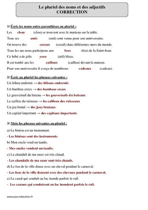 Pluriel Des Noms Et Des Adjectifs Cm1 Révisions à Imprimer Pass