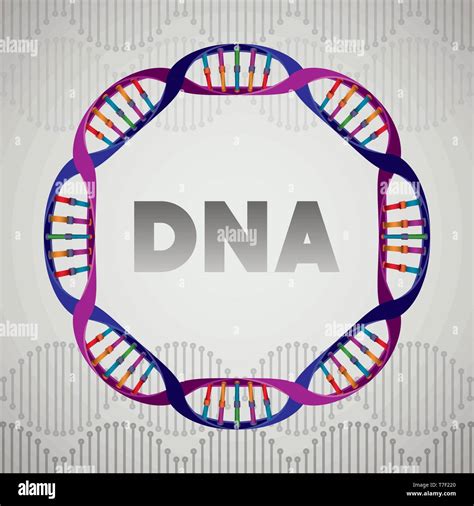 Dna Molecule Circular Structure Stock Vector Image And Art Alamy
