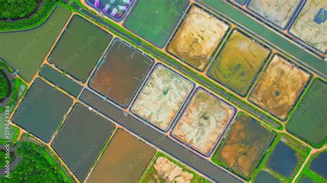 An Aerial View Over A Drone Flying Over A Large Shrimp Farm Ponds For