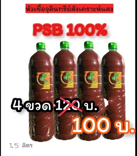 จุลินทรีย์สังเคราะห์แสง Pbs 100 4ขวด ขนาด 1 5 ลิตร หัวเชื้อเข้มข้น