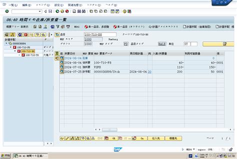 Sap Pp学习笔记17 Mts（make To Stock 按库存生产 的策略70，策略59sap 净需求和毛需求 Csdn博客