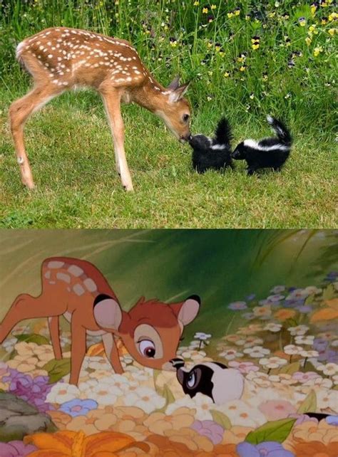 Wow So Cute R Interestingasfuck