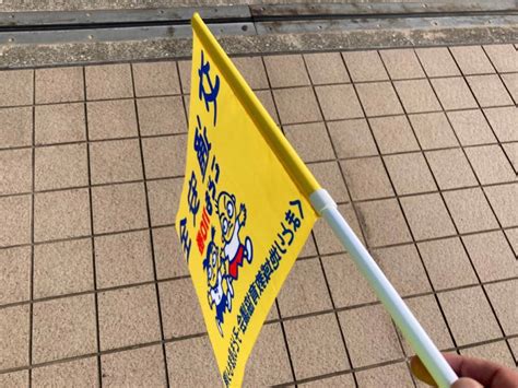 選挙たすきのフォントはゴシック体 たわもと英一（タワモトエイイチ） ｜ 選挙ドットコム