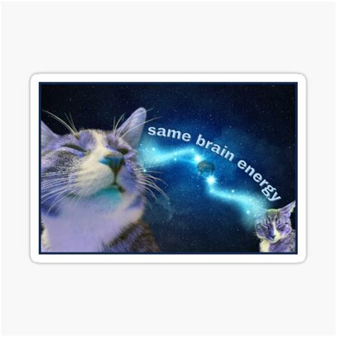 Same Brain Energy Cat Meme Sticker For Sale By Smcgraphics Redbubble