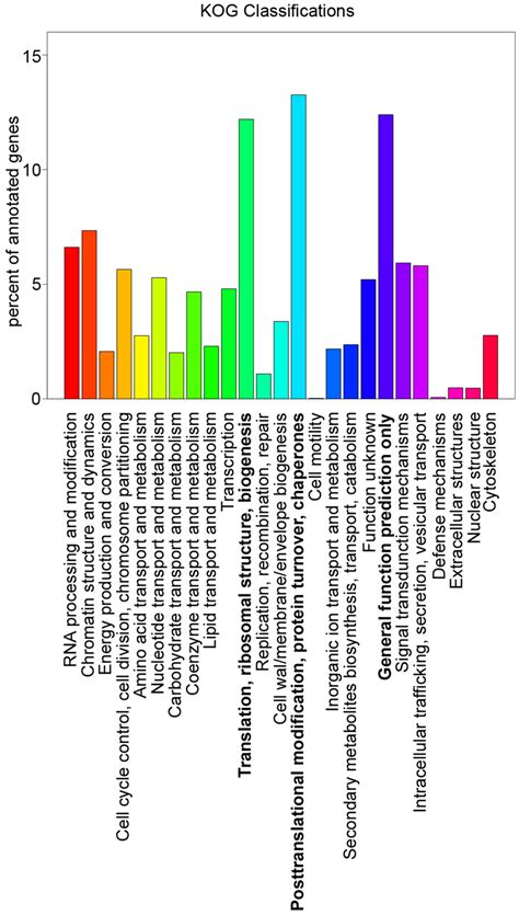 Gene Function Classification Using Kog The Three Classifications