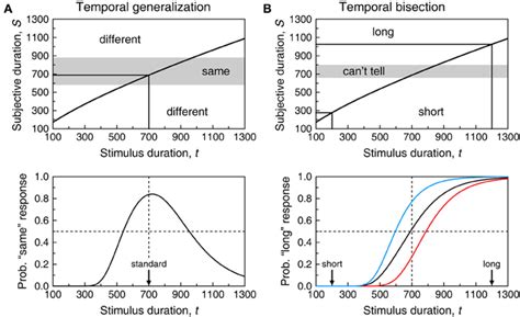 Effects Of Decisional Bias In The Temporal Generalization A And Download Scientific Diagram