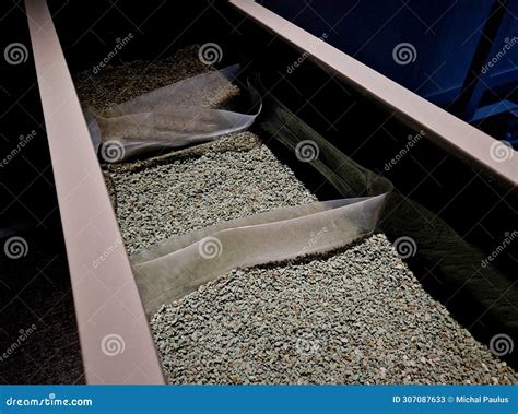 Planting In Rectangular Pots Begins With The Placement Of Growing Stock