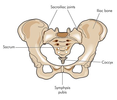 Coccyx Fracture