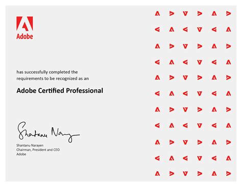 Multiplatform Animation Using Adobe Animate Certification Octa