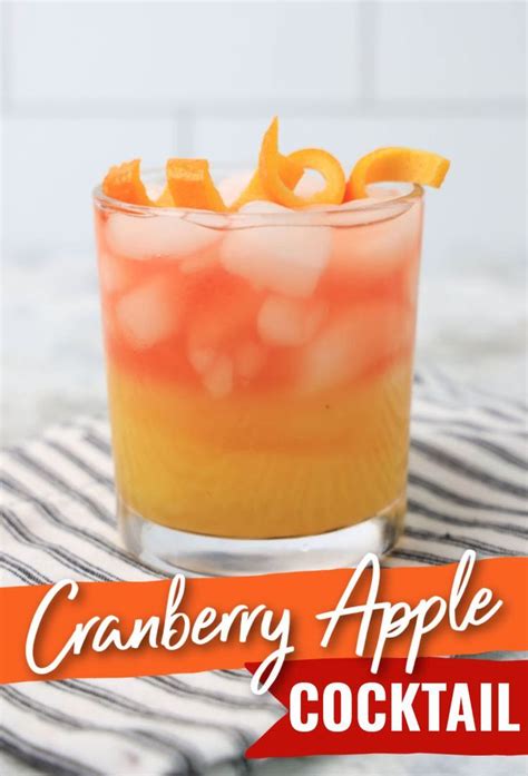 The Cranberry Apple Cocktail Cranberry Apple Cocktail Apple Juice