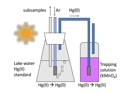 Mercury Isotopes Probing Global And Regional Cycling And