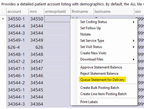 Standard Permissions Bulk Queue Statement Guru