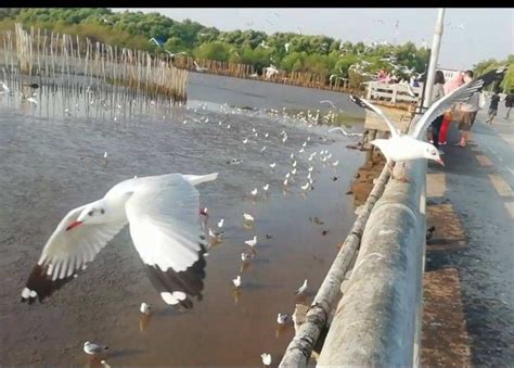 ทำไม อ๋อ มันเป็นอย่างนี้นี่เอง By อาจารย์เจษฎ์