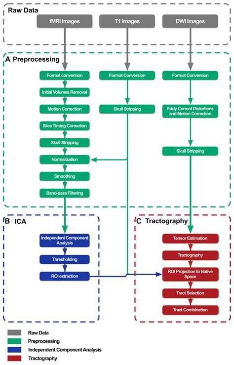 BrainCAT Data Processing Pipeline Overview The Pipeline Was Defined In Download Scientific