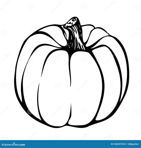 Drawingpumpkin Clipart And Illustrations