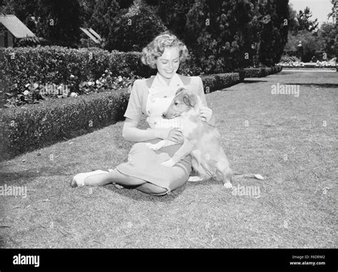 Lassie June Lockhart