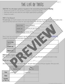 Linear Systems Of Equations Project The Life Of Trees By Algebra And Beyond