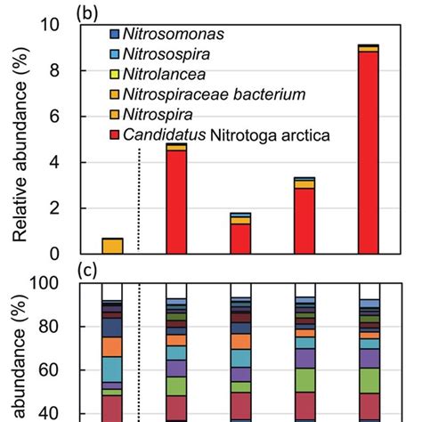 Bacteria And Archaea Present In The Soil Before And At The End Of The