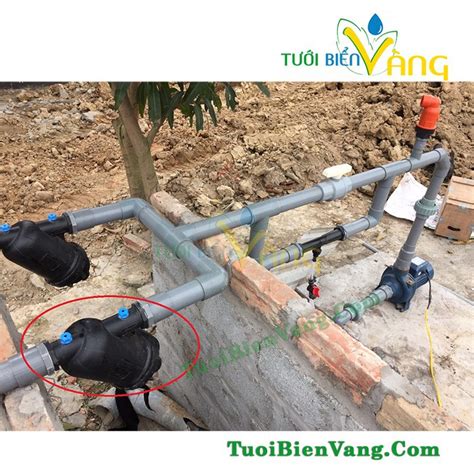 Lọc đĩa chữ Y phi Tưới Biển Vàng