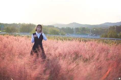 다음이고의 엄한 이야기 양주 나리공원의 핑크뮬리pink Muhly Grass